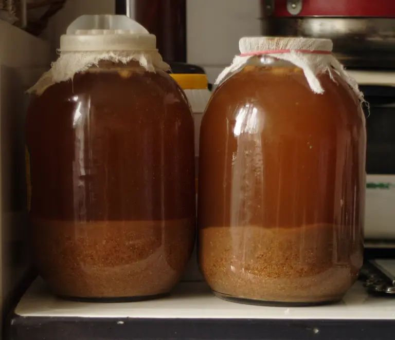 Che cos'è il kvass: la bevanda che la Russia usò per sfidare la Coca ...