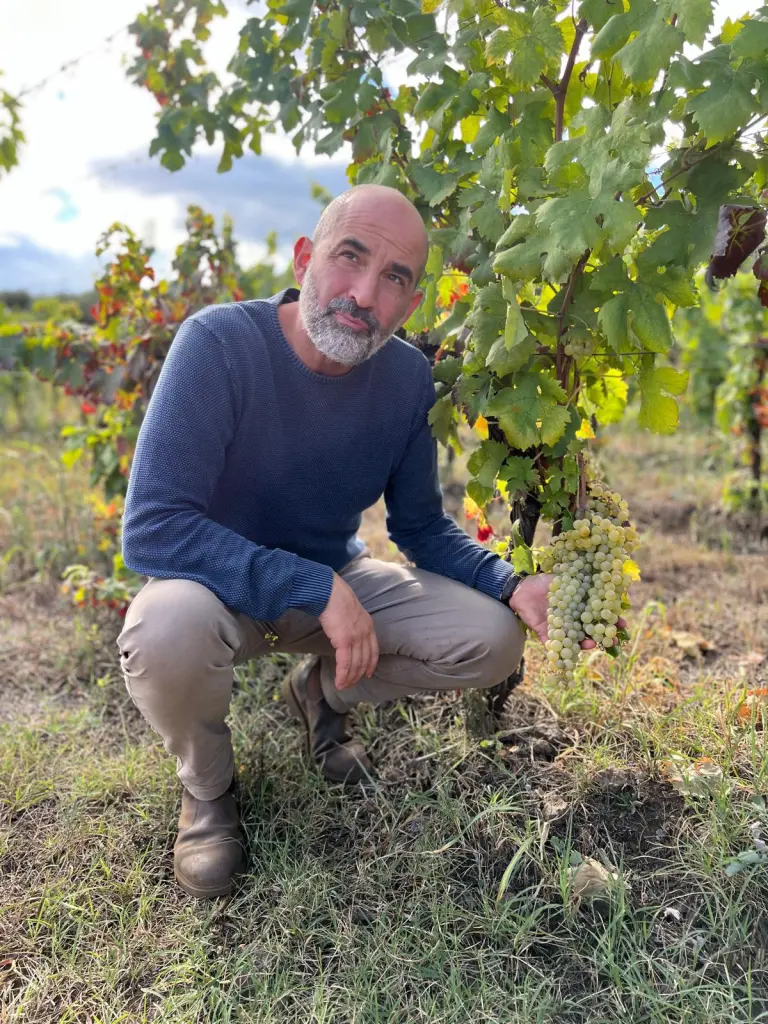 “Togliere i limiti dell’acidità volatile nei vini? Sarebbe un grosso ...