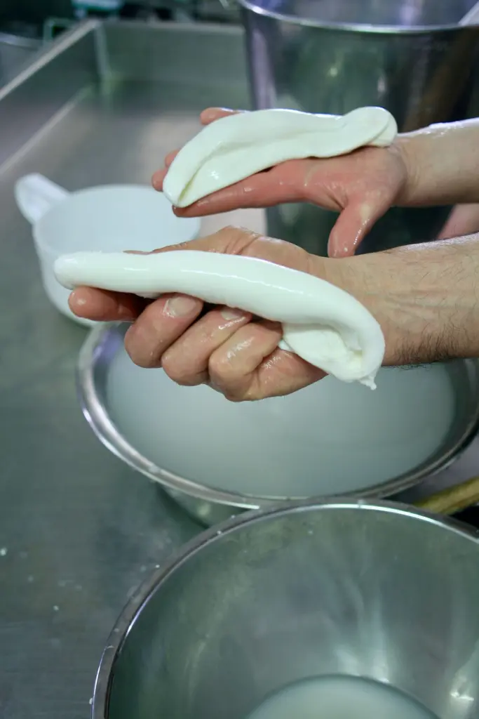 Cos'è la mozzarella nella mortella, avvolta nel mirto e profumata di ...